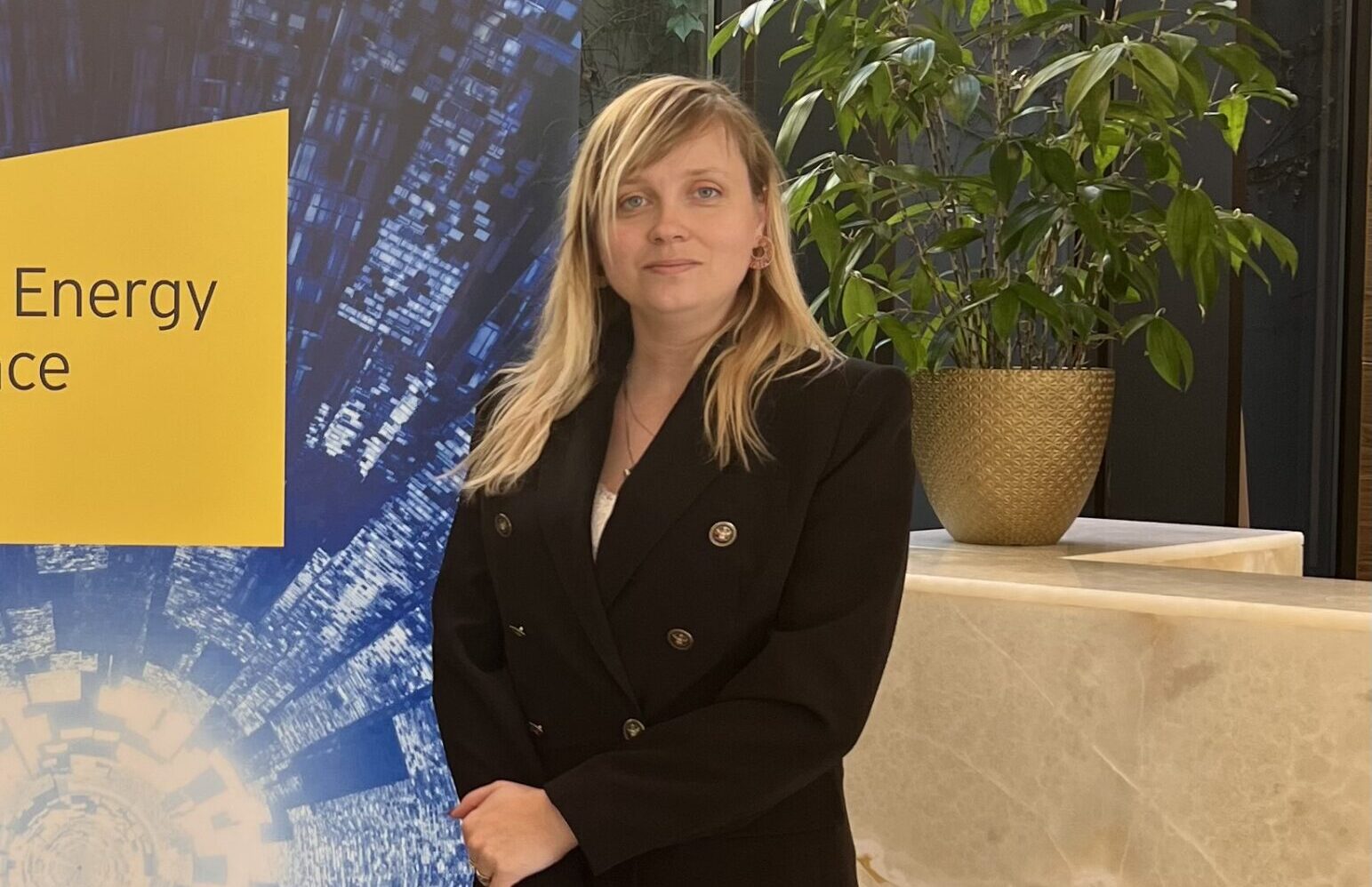 Hybrid Energy Systems